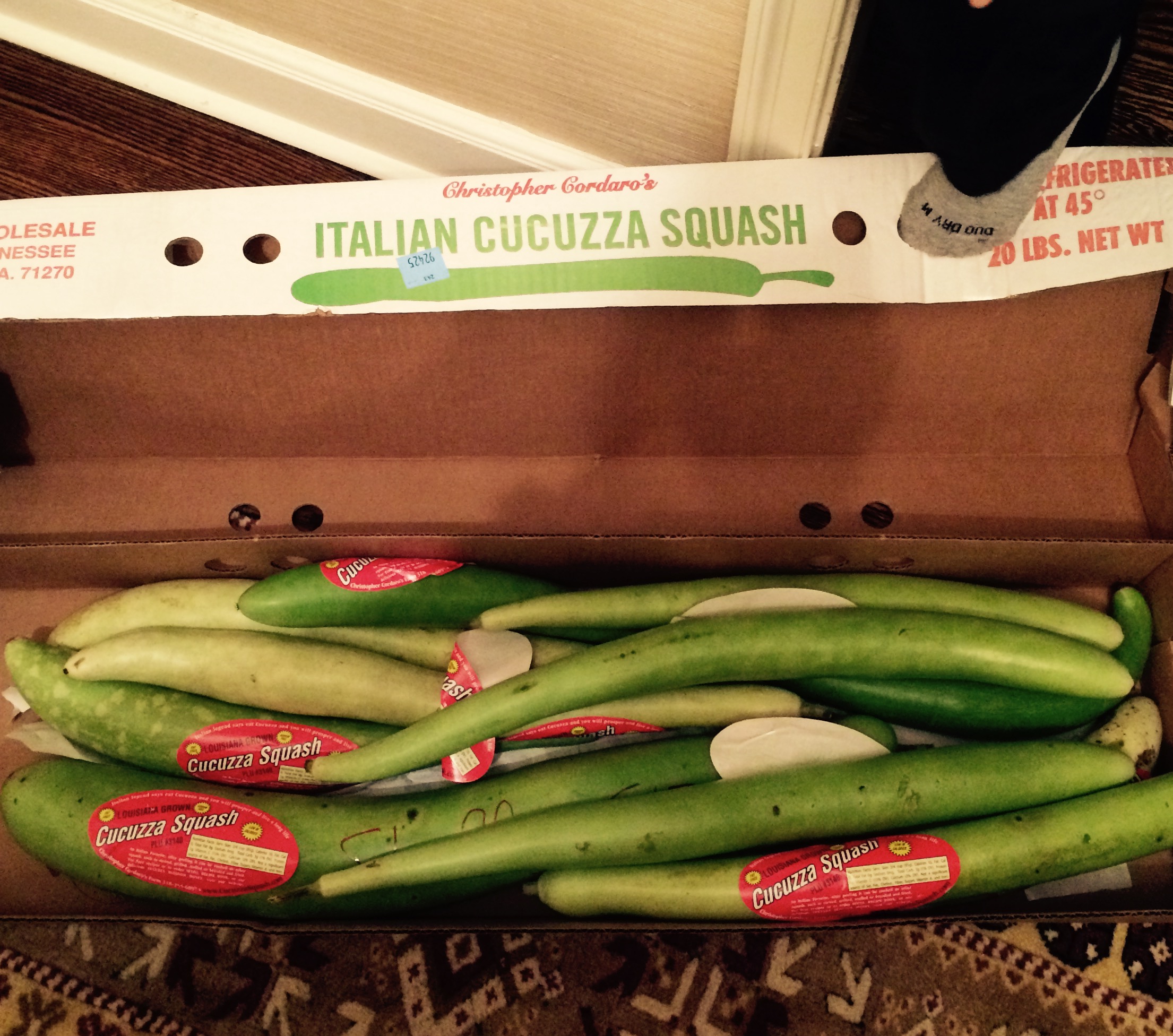 Stuffed Squash (Zucchini or Cocuzza?) | My Kitchen Memories